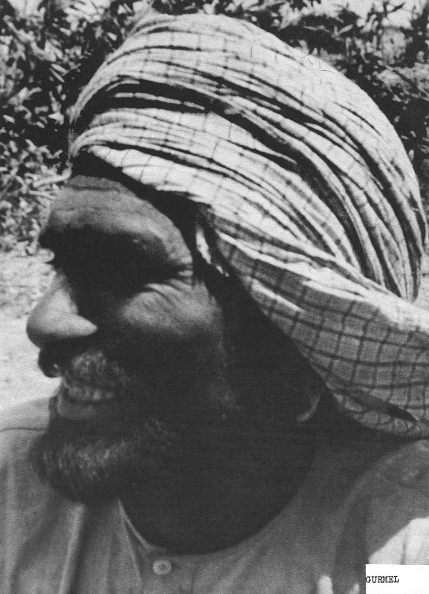 Sketches Of The Green Revolution - Part I - Richard Critchfield