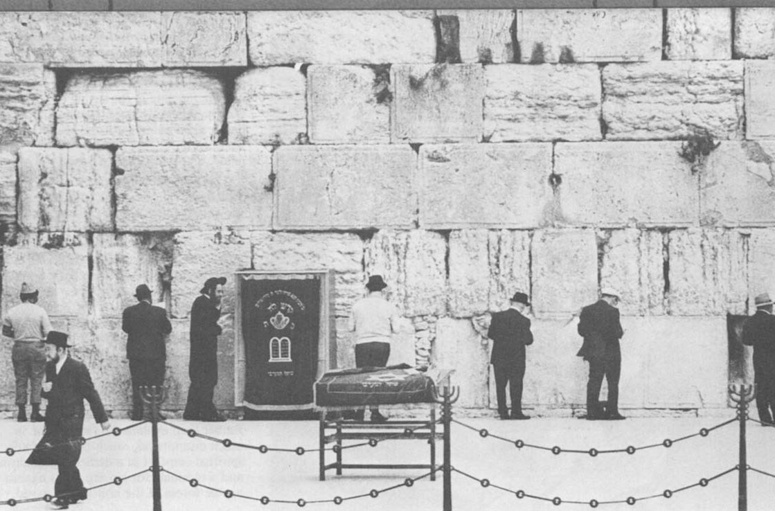 The Masada Complex - Milton Viorst