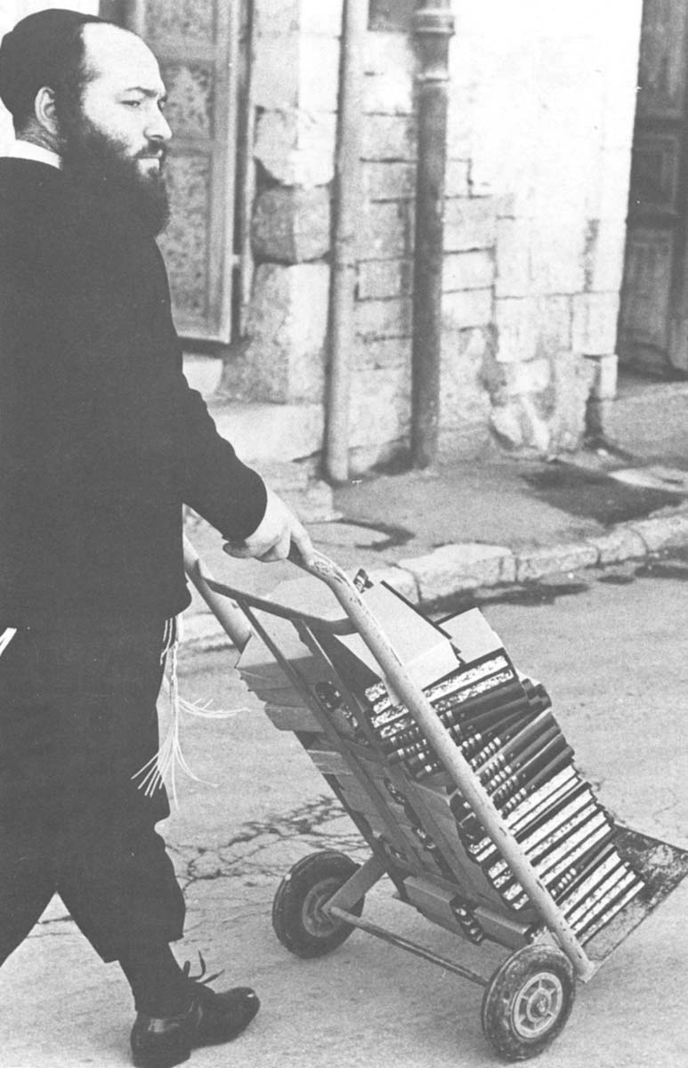 The Masada Complex - Milton Viorst