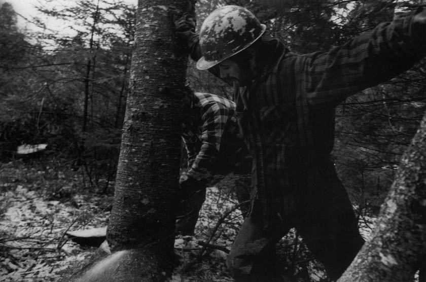 The Timber Industry and the Felling of West Athens, Maine - Steve Rubin