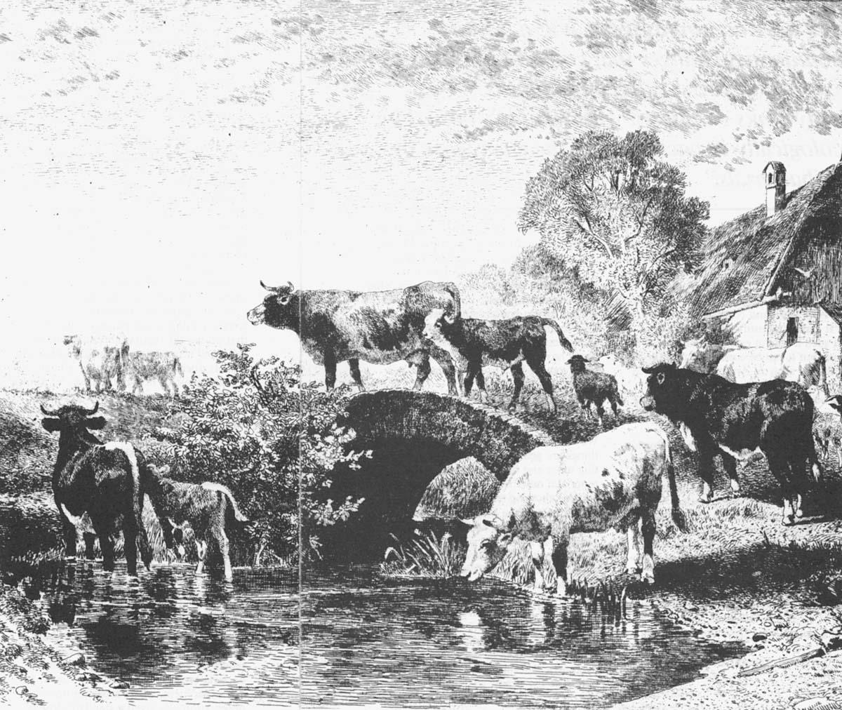 Antibiotics in Your Meat - Orville Schell