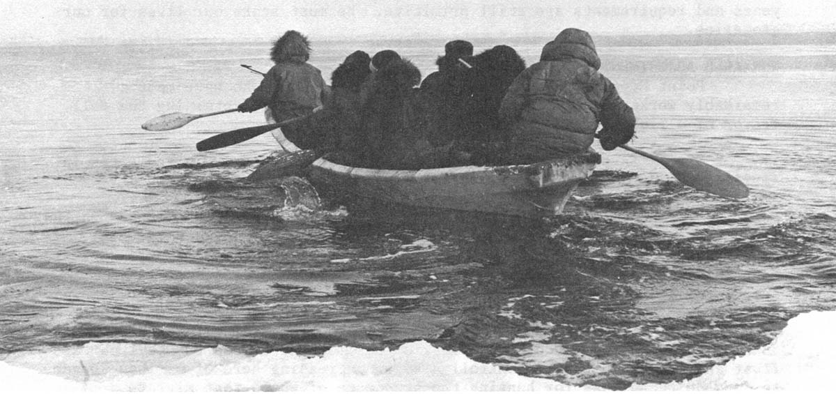 Point Hope – A Workable Tradition? - Lael Morgan