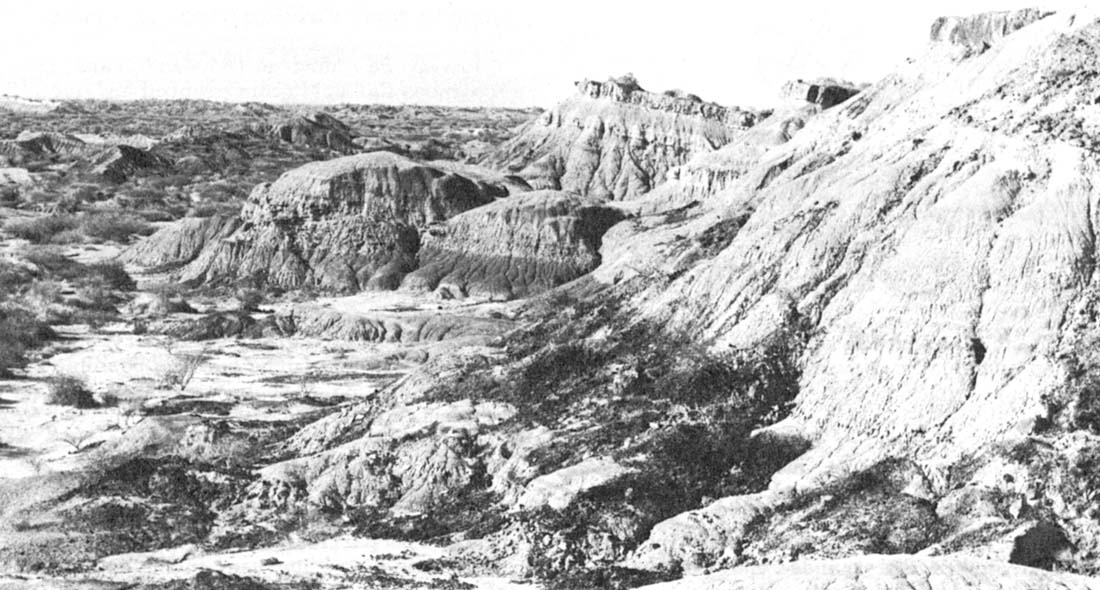 The Omo Research Expedition: Exploring the World of Early Man - Boyce ...