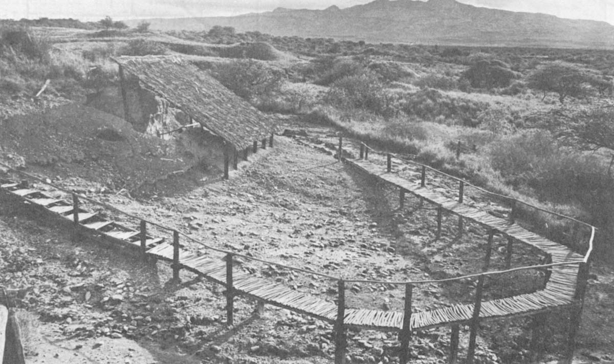 Stone Age Olorgesailie: Esthetics Among the Carrion Eaters - Boyce ...