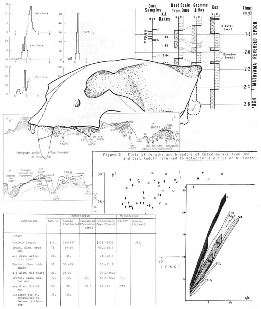 The Omo Research Expedition: Exploring the World of Early Man - Boyce ...