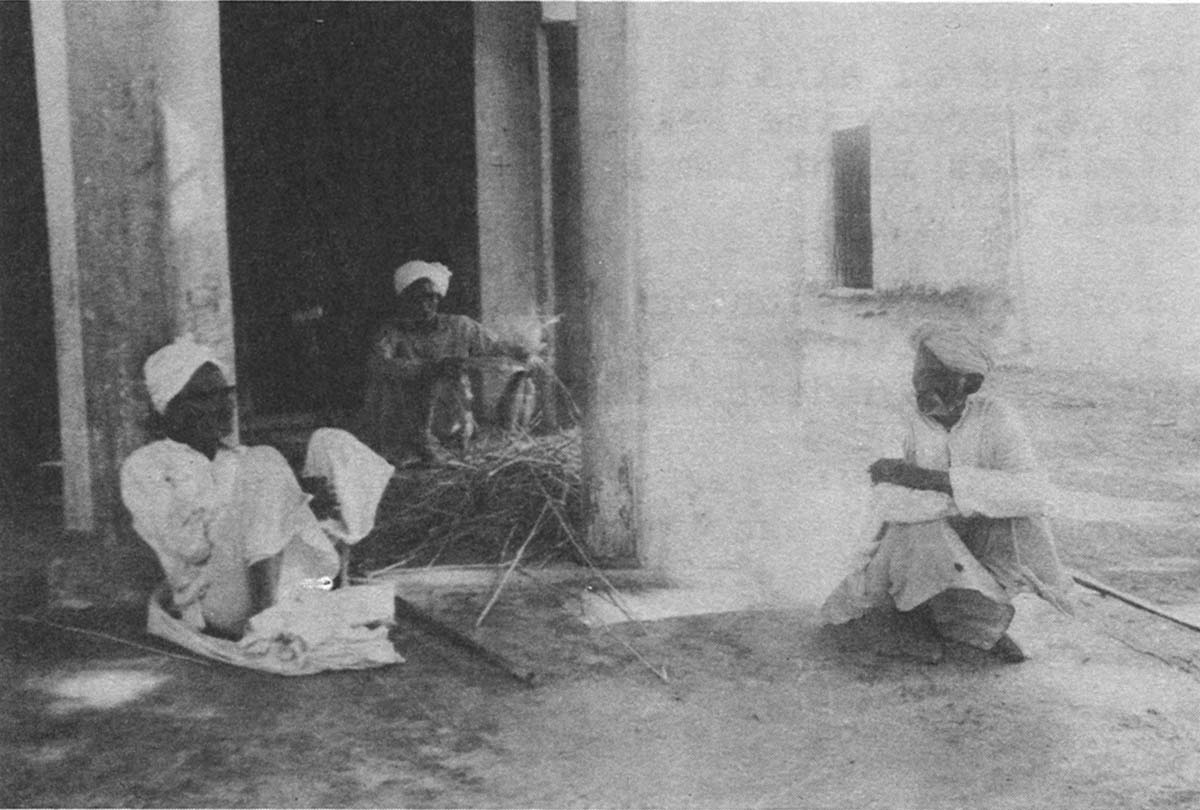 The Aged In India: Myth and Despotic Mother-In-Laws - Nada Skerly