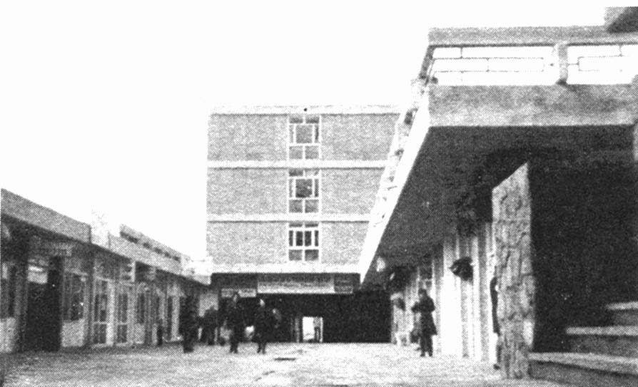 Israel's Second Generation New Towns - Leonard Downie